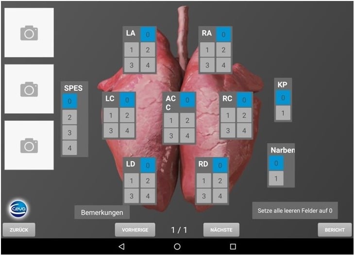 Das Ceva Lung Program® – Schlachtlungen beurteilen leicht gemacht